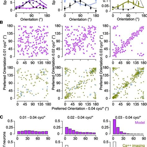 Sf And Orientation Selectivity In The Model And Mouse V1 Download