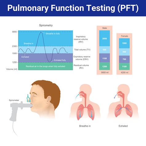 Pulmonary Function Testing Overview And Practice Questions