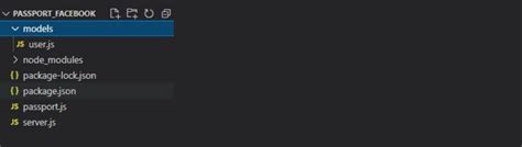 Implement Passportjs Authentication In Nodejs