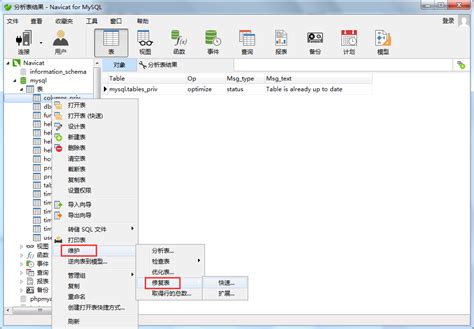 Navicat For Mysql 如何管理和维护表 Navicat中文网站