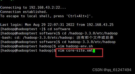 linux 部署hadoop伪分布式集群教程 xsell输入vim core site xml csdn博客