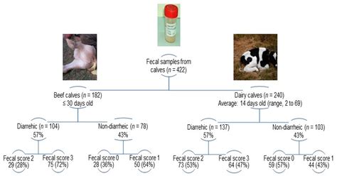 Viruses Free Full Text Molecular Epidemiology Of Rotavirus A In Calves Evolutionary