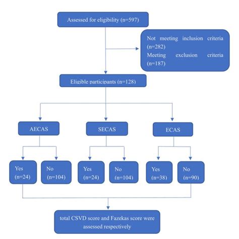 Figure Enrollment And Outcomes Csvd Cerebral Small Vessel Disease