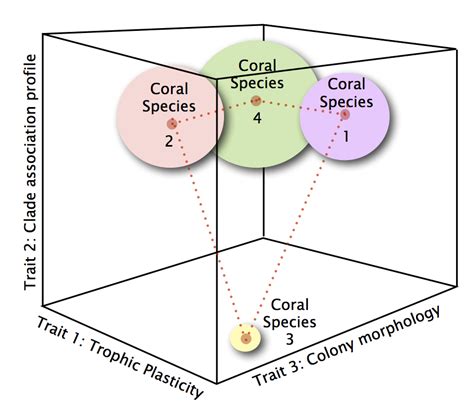Graphics Attractive 3d Plot In R Stack Overflow