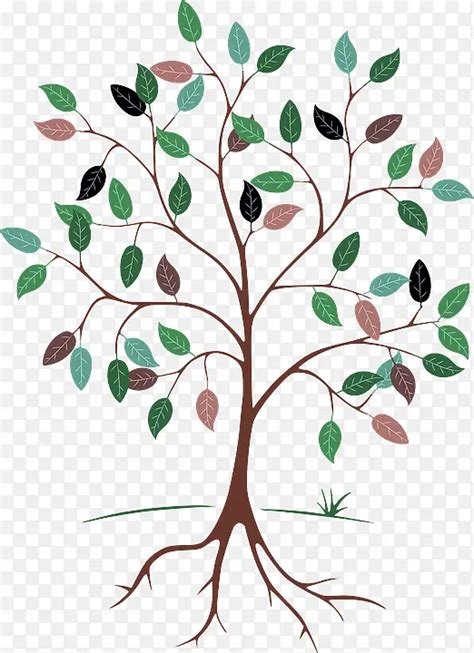 叶 树 枝png图片素材下载 图片编号6965718 Png素材网