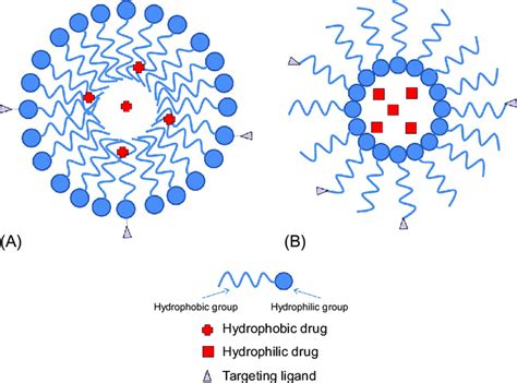 7 Schematic Structures Of Polymeric Micelles A Typical Micelle In A