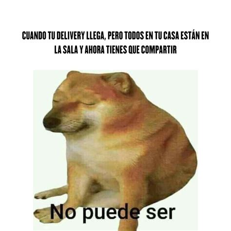 ¿quién Es Cheems El Perrito Meme Que Se Volvió Una Sensación Y