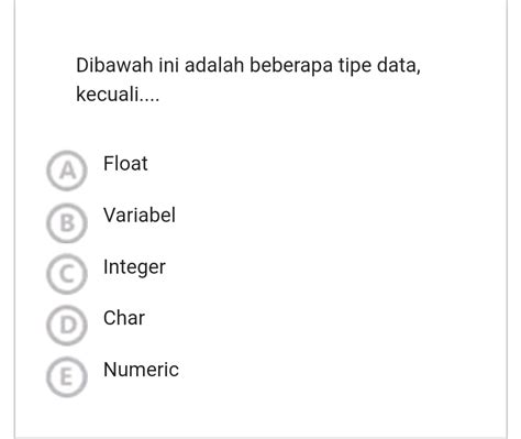 Dibawah Ini Adalah Beberapa Tipe Data Kecuali A Float B Variabel C