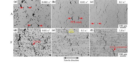 Typical Fracture Characteristics At 1050 °c And Different Strain Rates Download Scientific