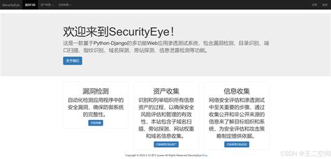 多功能 Web 应用渗透测试系统旁站探测 漏洞 Csdn博客