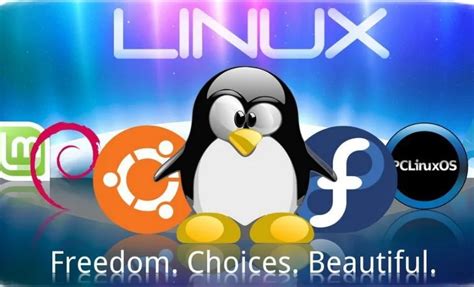 Cara Membuat Distro Linux Sendiri Mudah Praktis Finoo Id