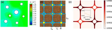 A Direct Numerical Simulation Result Of Concentration Field During