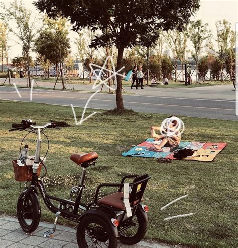 🙂새상품 컨디션 성인용 세발자전 당근 중고거래