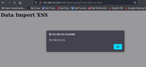 Cross Site Scripting Vulnerability On Data Import · Cve 2024 23633