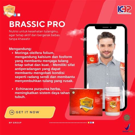 Brassic Pro Lazada Indonesia