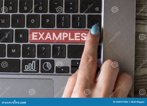 Text Showing Inspiration Examples Word Written On Photo Sample Model To Follow Guide