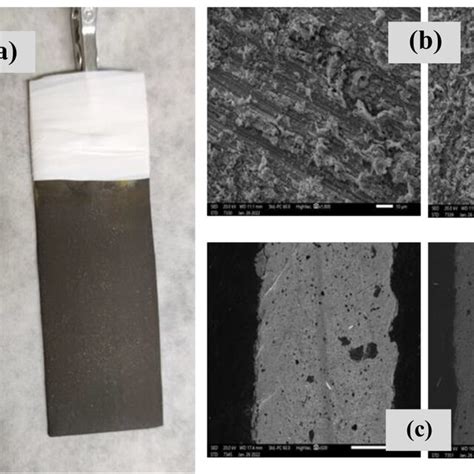 Photograph A And Sem Micrographs B C Of The Top View A B Download Scientific