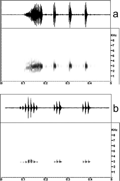 a sound spectrogram and corresponding oscillogram above of an