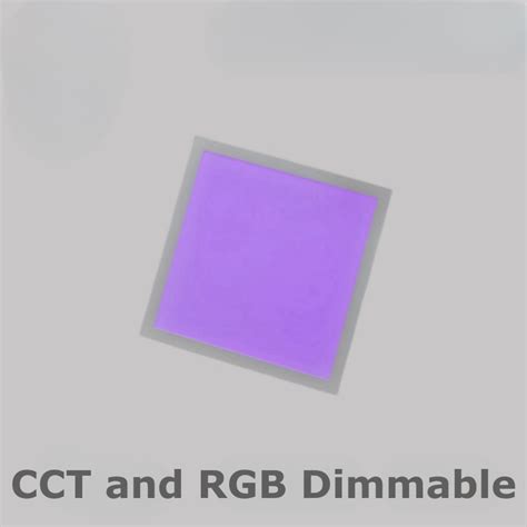 RGB And CCT Dimmable LED Panel Remote Control Tangtang Lighting