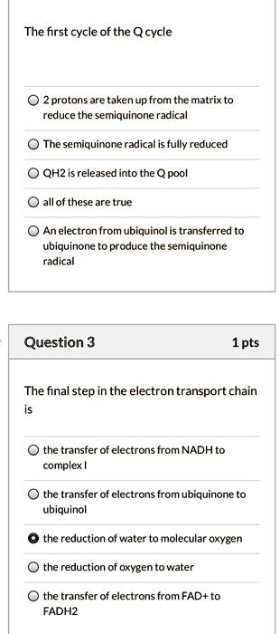 SOLVED The First Cycle Of The Q Cycle Protons Are Taken Up From The Matrix To Reduce The