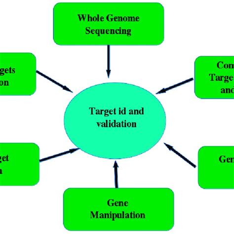 Schematic Representation Of Some Examples For Target Identification And Download Scientific