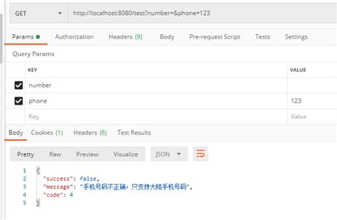 String Default Value Verification Problems Using Spring Validation And