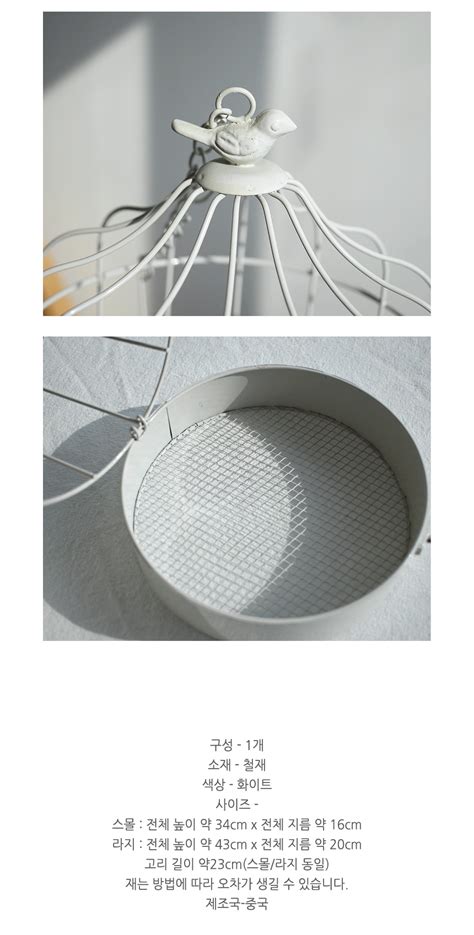 장식소품 버드 모던 빈티지 새장 2종중 택1 오늘의집 쇼핑