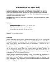 Lab Report Mouse Genetics One Trait Docx Mouse Genetics One Trait Previous To The Lab We