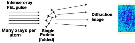 2 X Ray Diffraction Of A Single Protein Molecule [5]