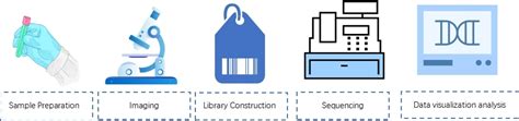 Spatial Transcriptomics Service Cd Formulation