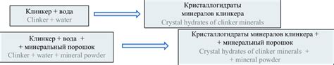 The Mechanism Of Interaction Between The Components Of The Binding System Download Scientific