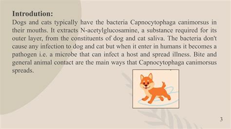 Final Capnocytophaga Infection By Gauri Gawandepptx