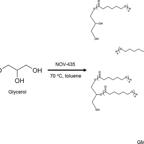 Glycerol Modified Polyε Caprolactone An Biocatalytic Approach To Improve The Hydrophilicity