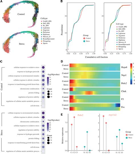 Single Cell Transcriptome Profiling Implicates The Psychological Stress