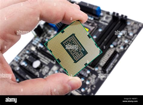 Computer Processor In Hand Before Installation Stock Photo Alamy