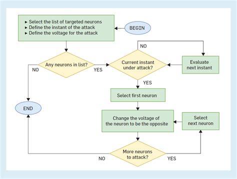 Neurons Flowchart