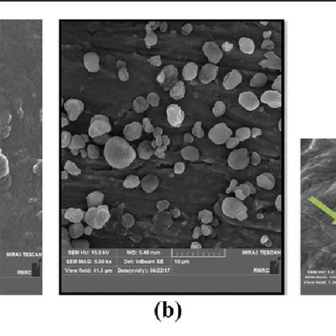A The Nanocomposites Containing Cnc Nanoparticles B High