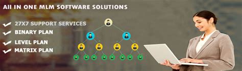 How Many Types Of Binary MLM Plan Exists In Networking Web Designing