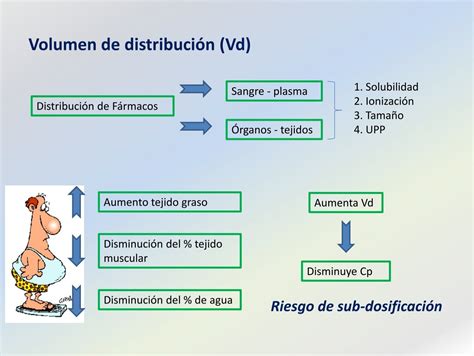 Volumen De Distribución