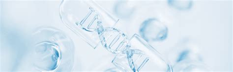 Vector Copy Number Analysis Qpcr And Dpcr Assays