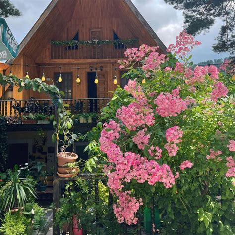 საოჯახო სასტუმრო სურამში ნომერი 6 Facebook