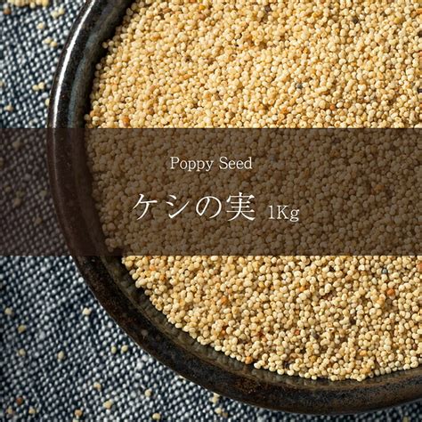【楽天市場】【送料無料】 ケシの実 Poppy Seed 【1kgパック】 ポピーシード Ambikaアンビカ スパイス インド カレー アジアン食品 エスニック食材：インド雑貨