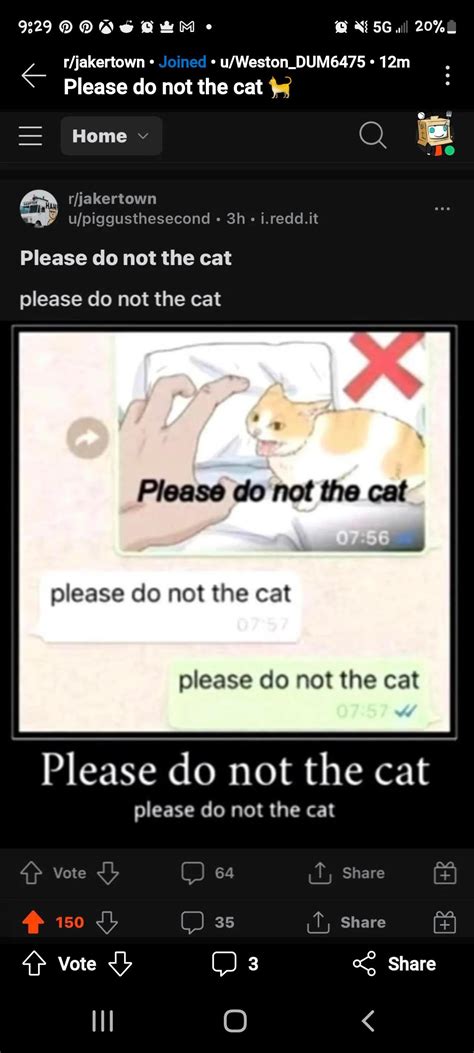 please do not the cat r jakertown