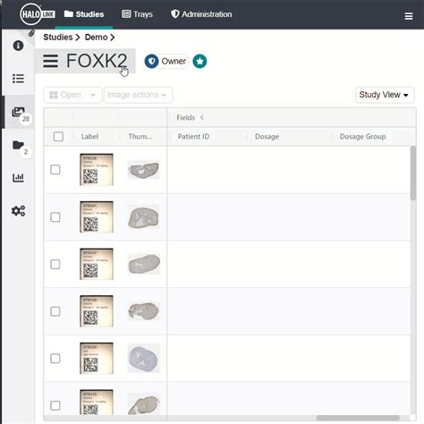 Indicalabs Michael Tomac
