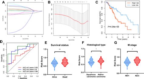 Construction Of The Prognostic Signature Notes A And B The
