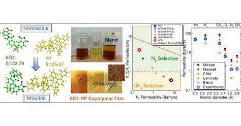 Molecular Insight Into 6fd Polyimide Branched Poly Phenylene Copolymers Synthesis Block