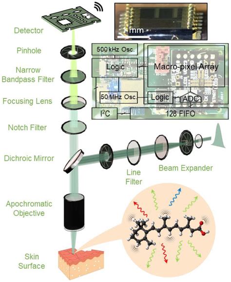Figure 1 From Single Band Raman Shift Detection For Spectroscopy Less