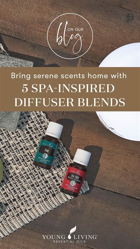 Create A Serene Atmosphere With These Spa Inspired Diffuser Blends