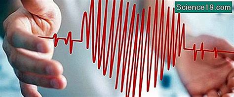 Sonuç Hızı Nasıl Hesaplanır Bilimsel Ve Popüler Multimedya Portalı