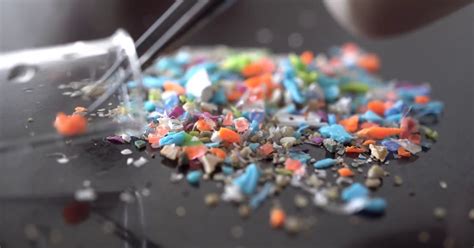 How To Minimize Exposure And Consumption Of Microplastics